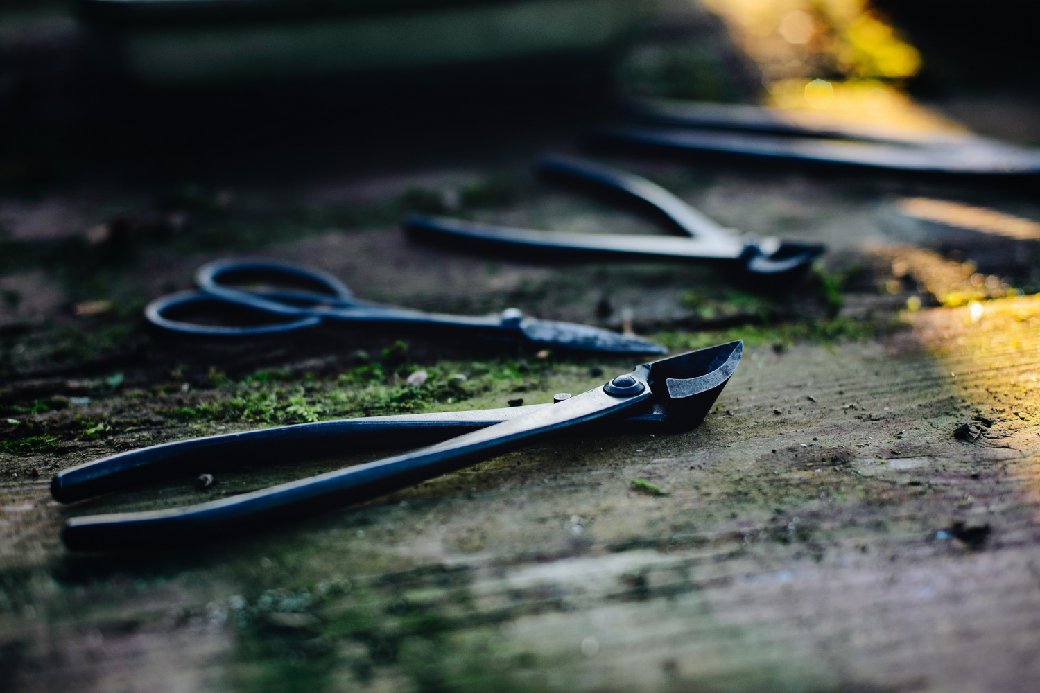 Bonsai Tools for Sale Online - Bonsai Shop Australia