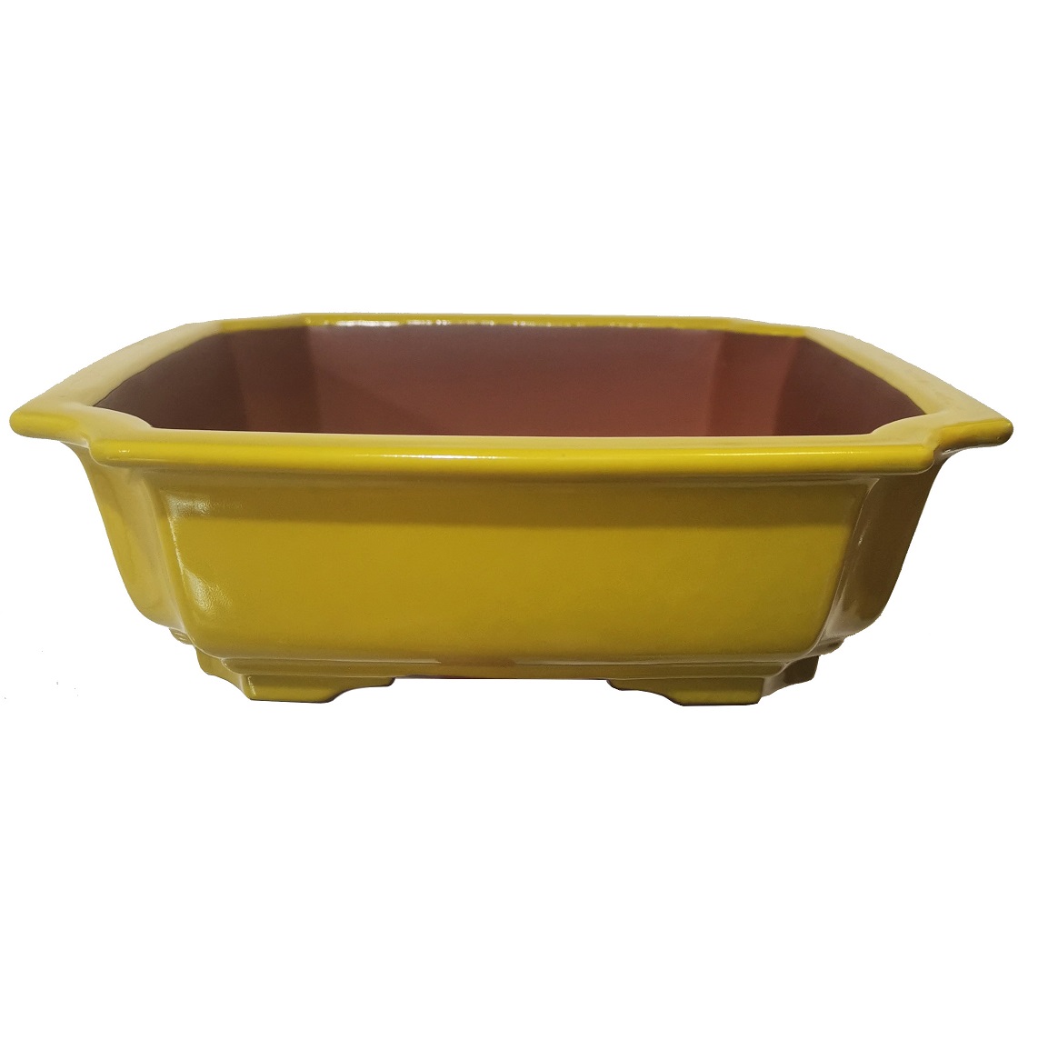 220mm Yellow Square Bonsai Pot - Bonsai Shop