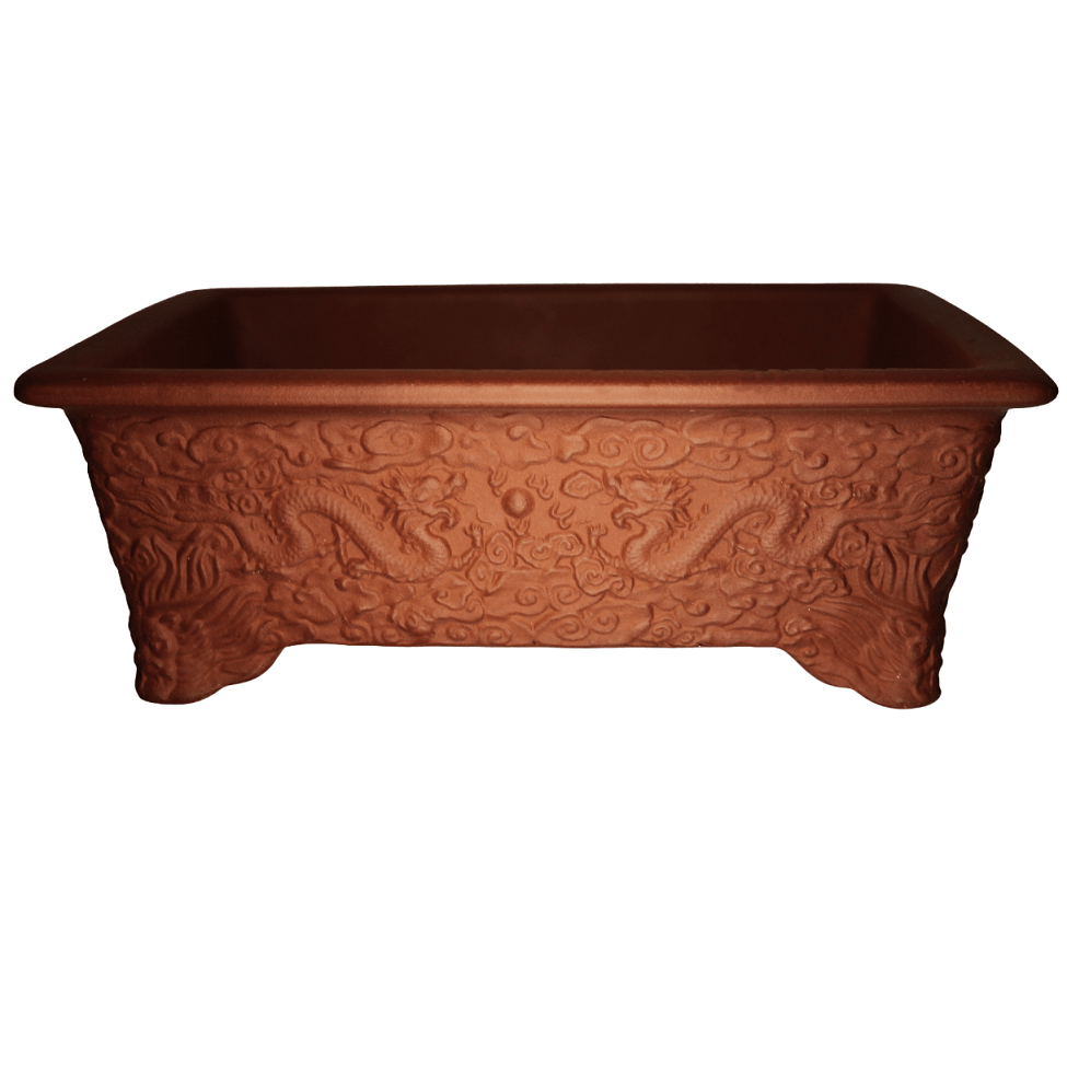 Unglazed Bonsai Pot - Carved Chinese Dragons 260mm - Bonsai Shop