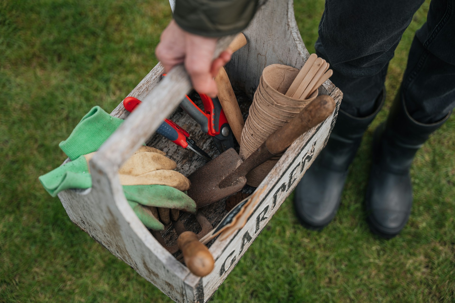 Must-Have Tools for Bonsai Beginners
